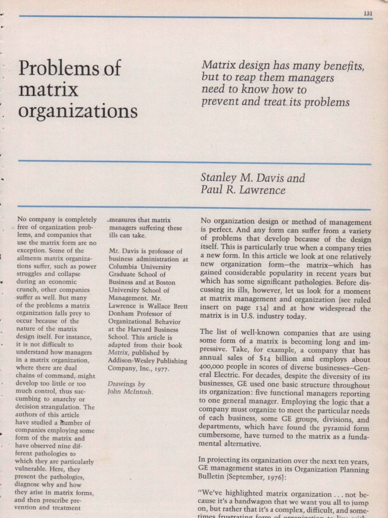 Matrix Organization Challenges | PDF | Consultant | Matrix (Mathematics)