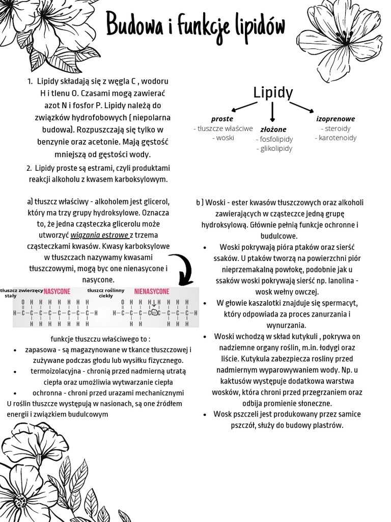 Budowa I Funkcje Lipidów | PDF