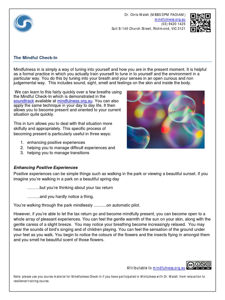 Mindfulness Check-Ins | PDF | Mindfulness | Experience
