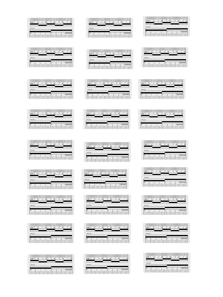 Testigo Flecha y Métrico | PDF