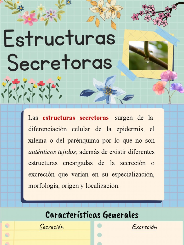 Estructuras y funciones de células secretoras | PDF | Secreción | Botánica