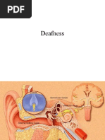 Grade 12 Life Science The Ear PDF | PDF | Ear | Hearing