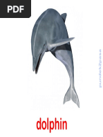 Fish Names in Marathi | PDF | Fishing Industry | Aquatic Animals