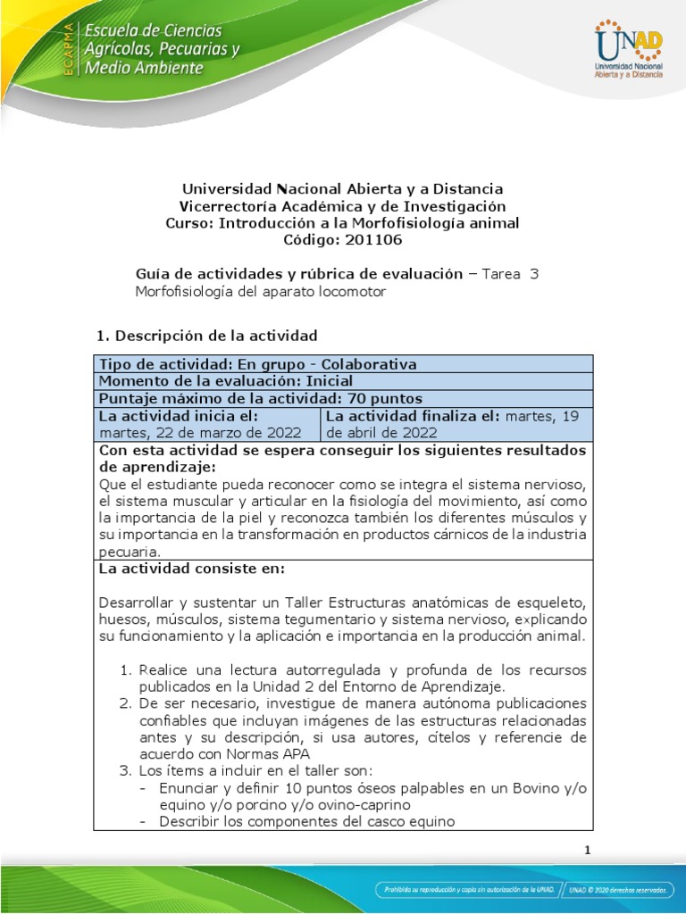 Guía de Actividades y Rúbrica de Evaluación - Unidad 2 - Tarea 3 - Morfofisiología Del Aparato ...