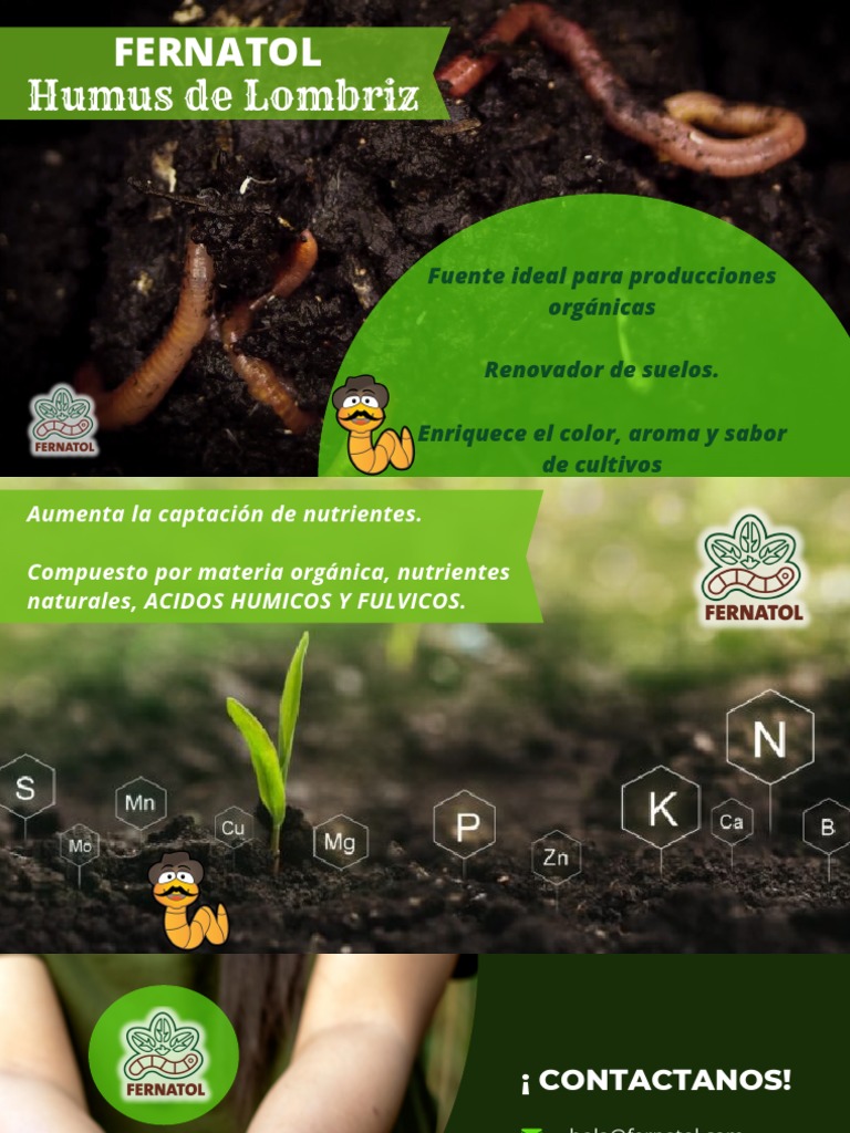 Humus de Lombriz: Fertilizante Orgánico | PDF | Cocina, comidas y vino ...