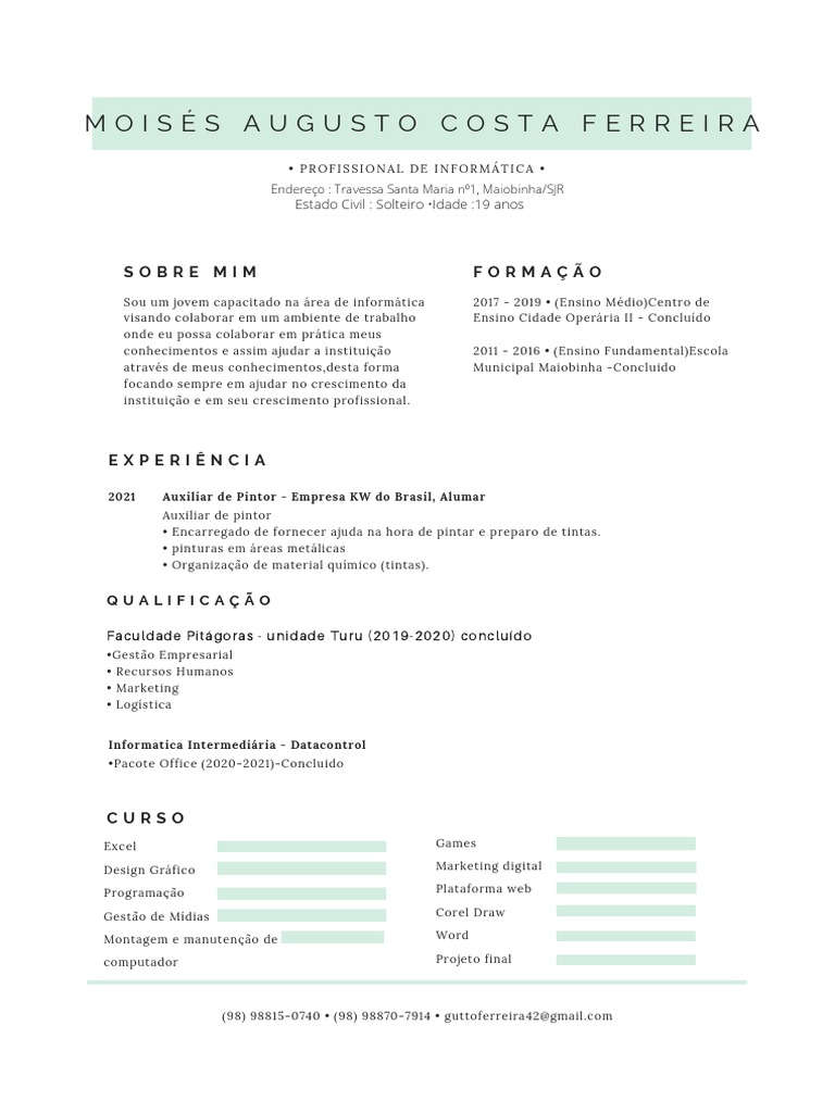 Currículo Moisés | PDF | Carreira e Crescimento | Negócios