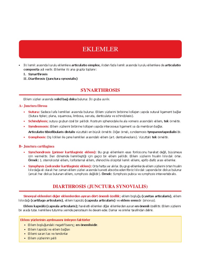 Anatomi EKLEMLER Tus Notu | PDF