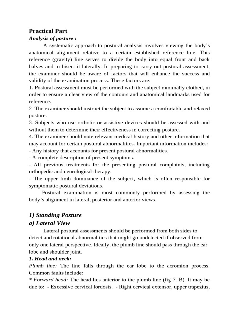 Posture Practical Part 1 | Descargar gratis PDF | Thorax | Vertebral Column