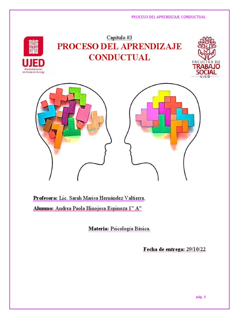 Proceso Del Aprendizaje Conductual | PDF | Aprendizaje | Comportamiento