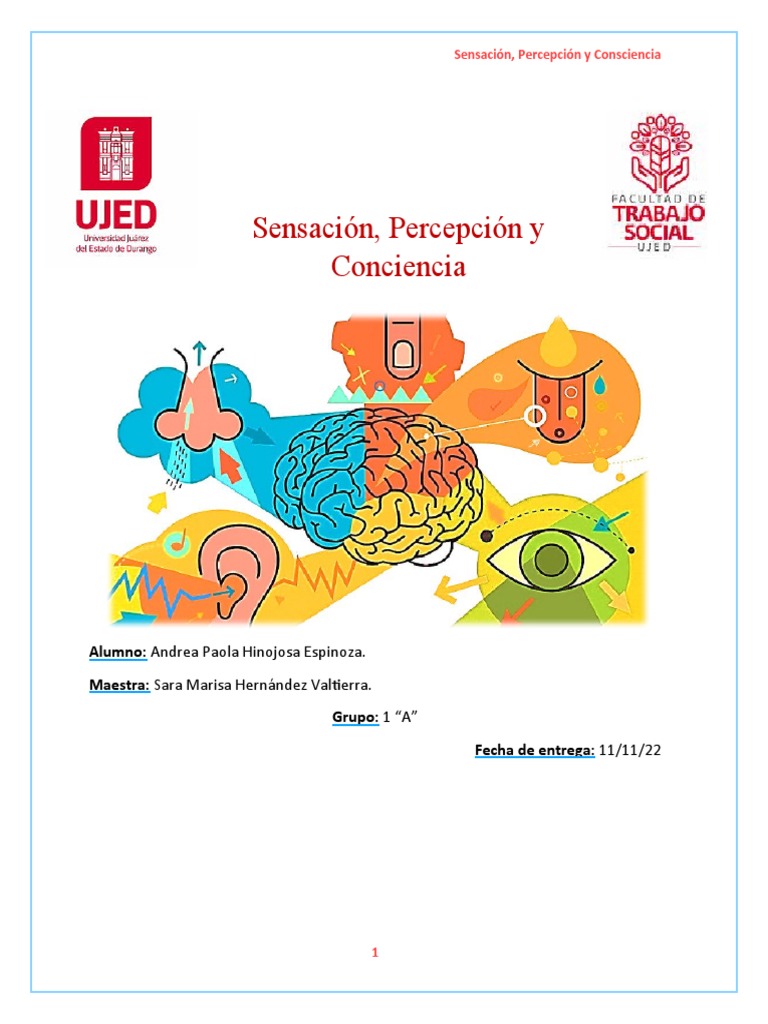 Understanding the Relationship Between Sensation, Perception, and Consciousness | PDF ...