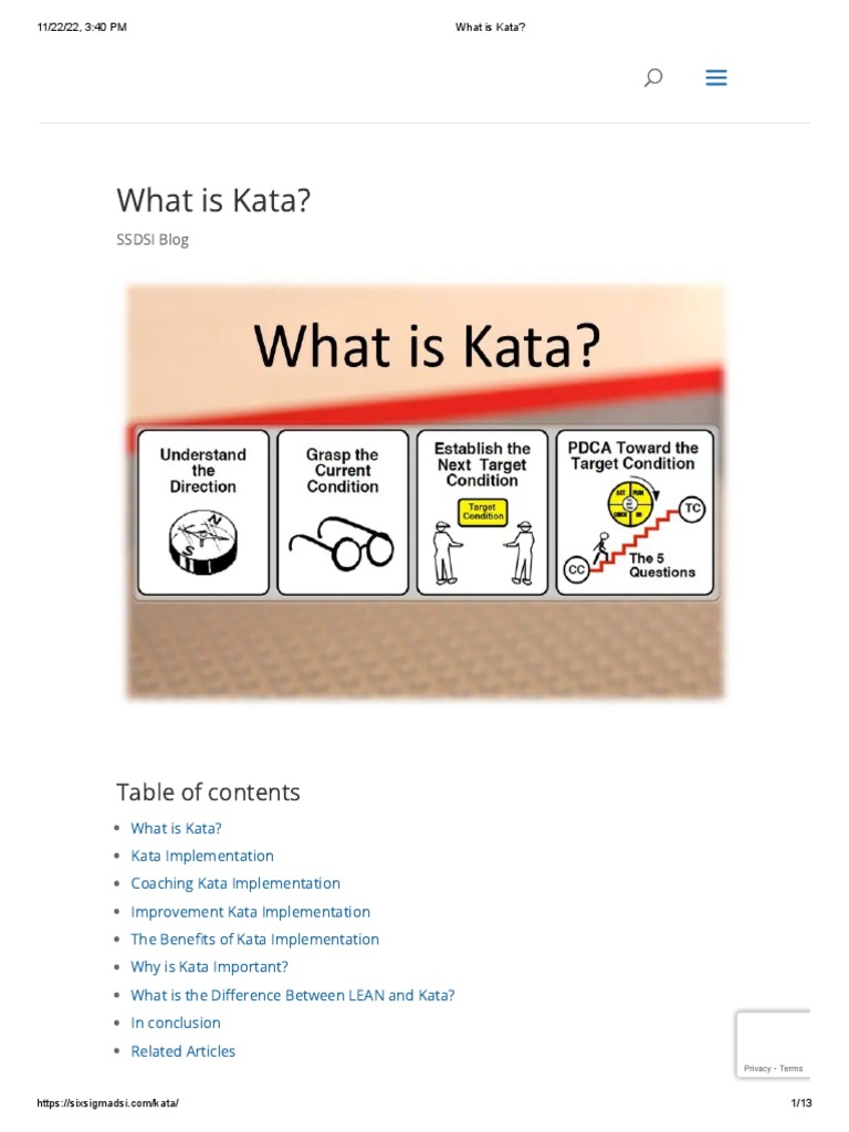 What Is Kata | PDF | Kata | Lean Manufacturing