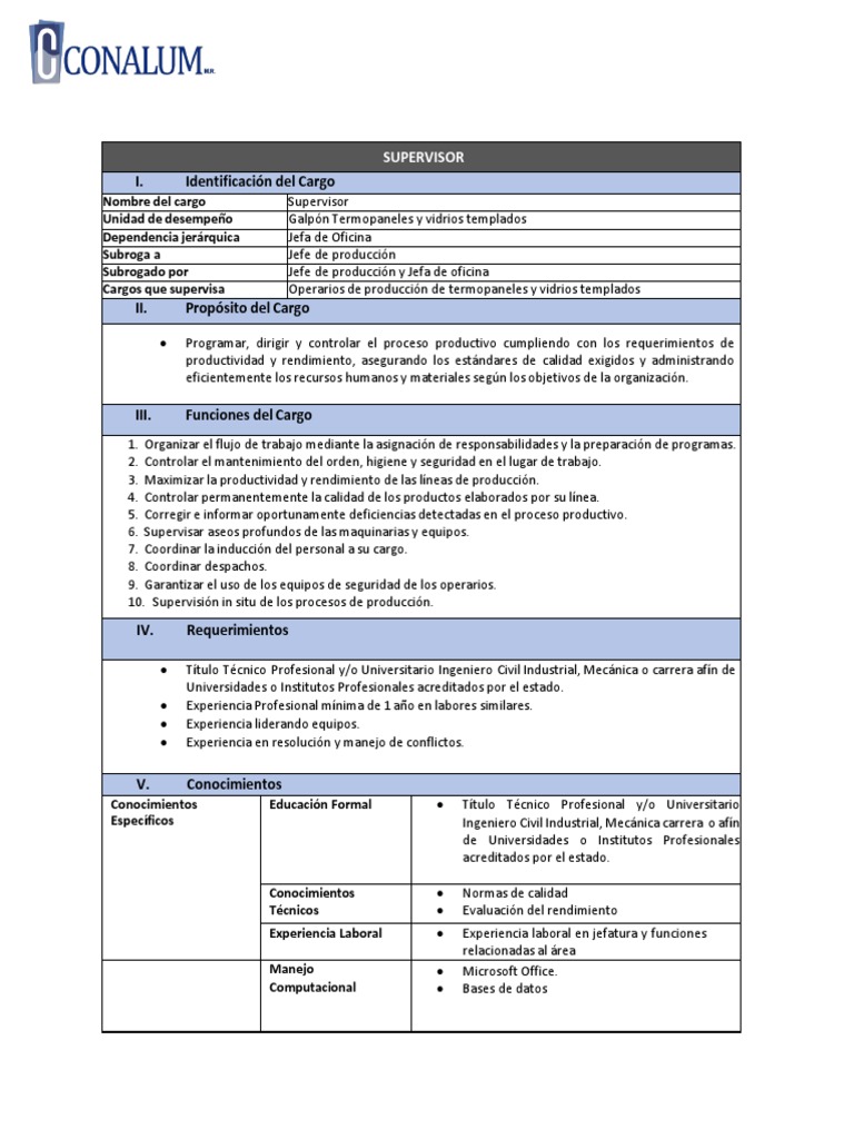 Descriptor de Cargo Supervisor | PDF