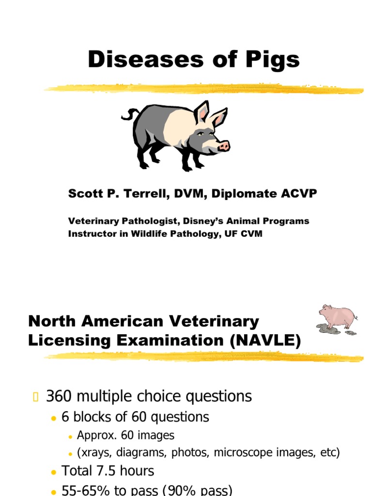 1.diseases of Pig | PDF | Pneumonia | Diarrhea
