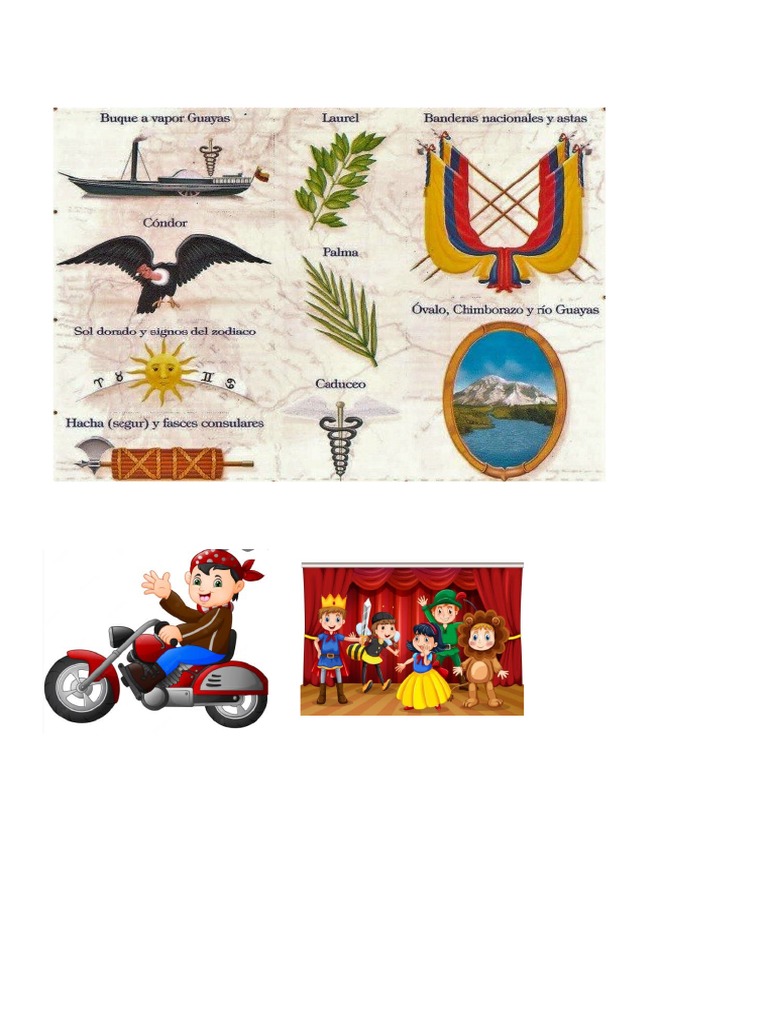 Partes Del Escudo | PDF