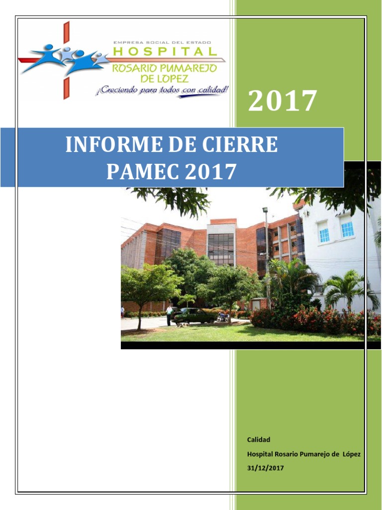 Informe Final Ultimo Del Pamec 2017 | PDF