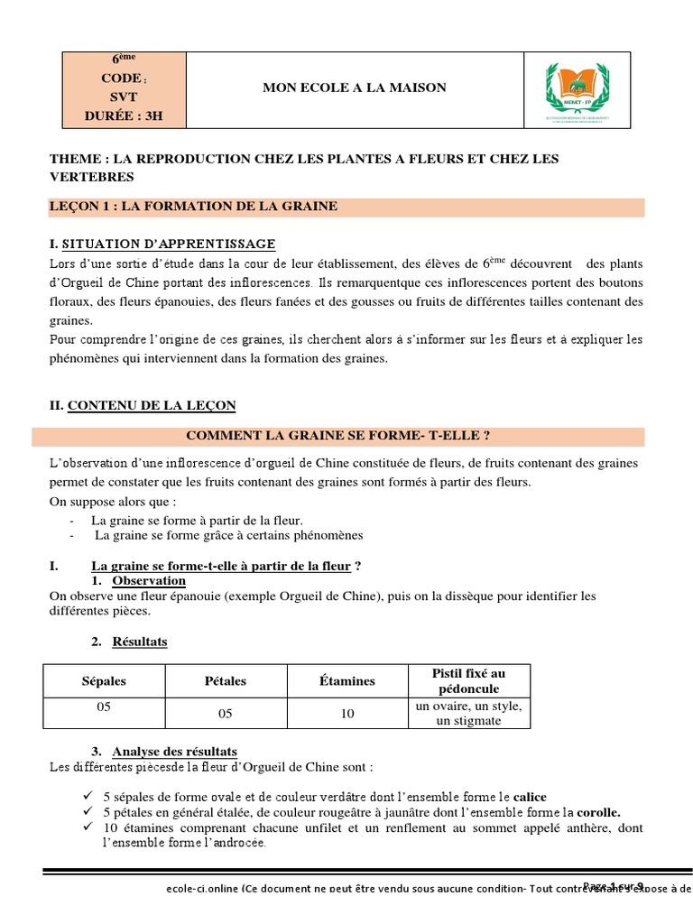 SVT 6ème - L1 - La Formation de La Graine | PDF