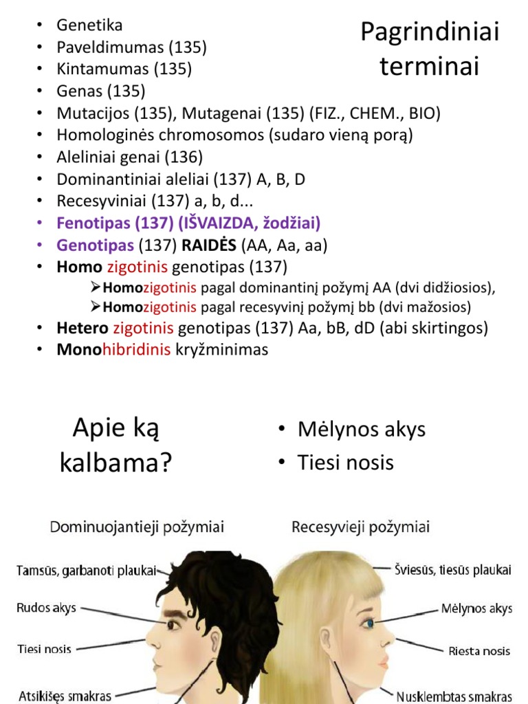 4.1 Terminai Ir Geneologiniai Medziai | PDF