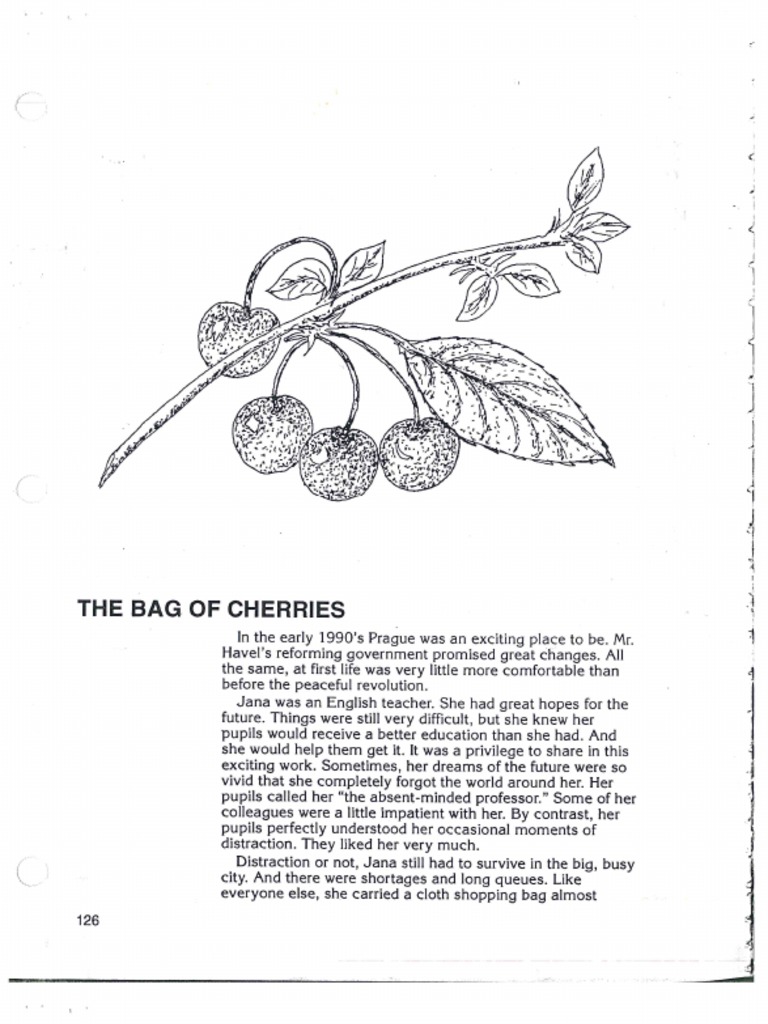The Bag of Cherries Text | PDF