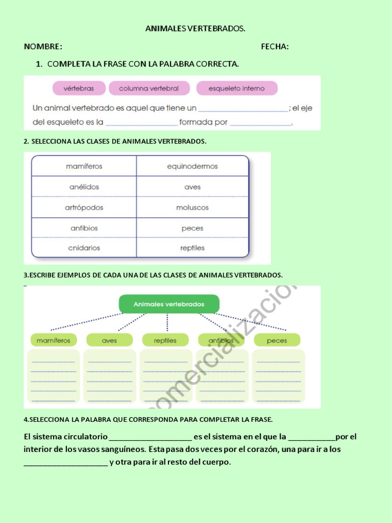 Actividades sobre Animales Vertebrados | PDF | Vertebrados