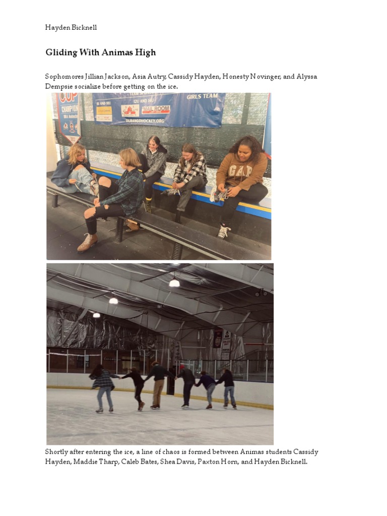 Photo Journalism Mini Project | PDF