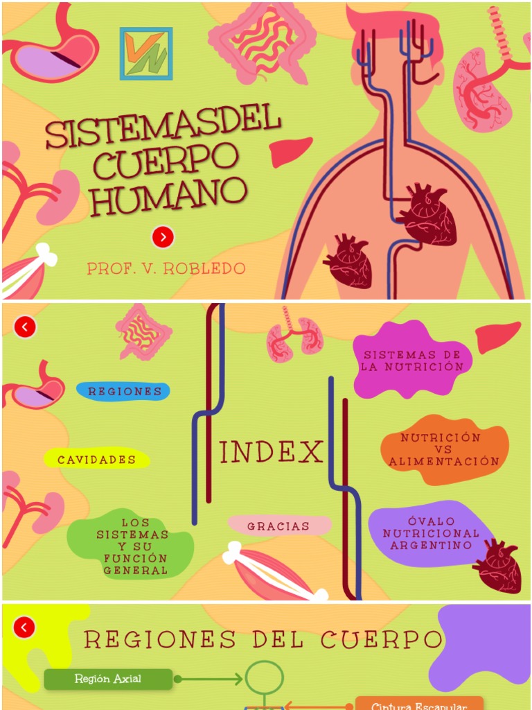 Sistemas del Cuerpo Humano | PDF