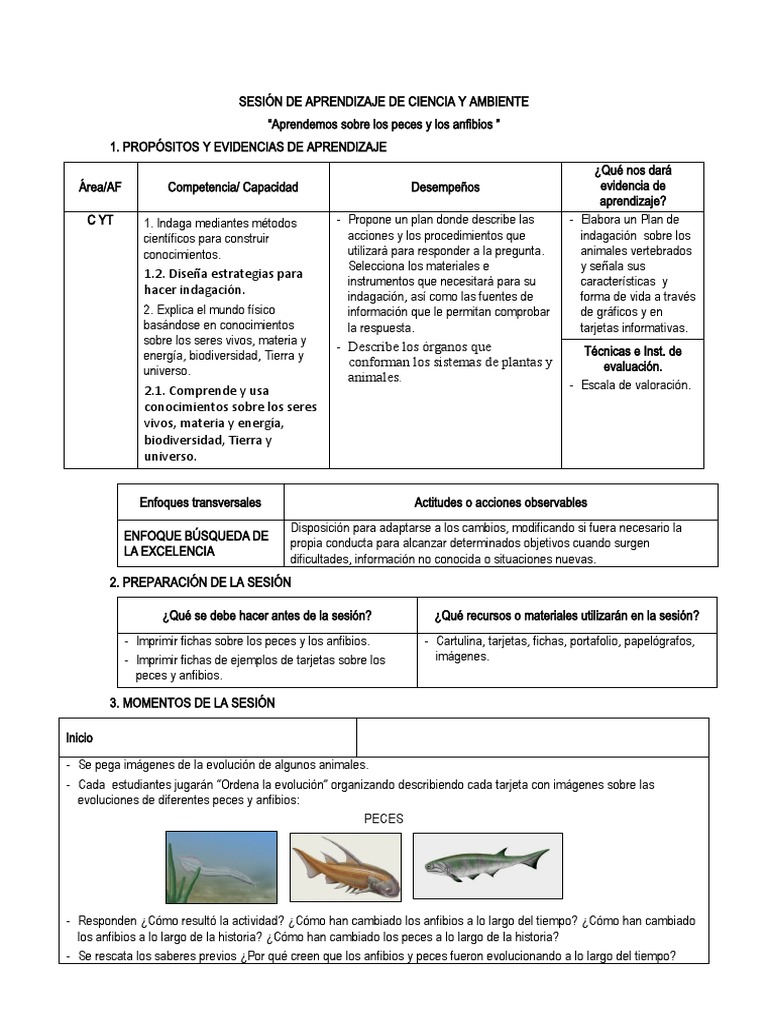 Aprendemos Sobre Los Peces y Los Anfibios | PDF | Respiración | Aprendizaje