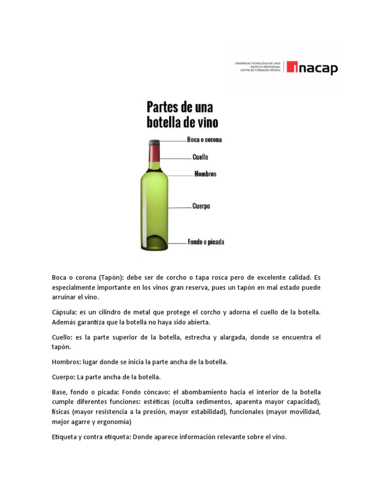 La Botella | PDF | Botella | Vino