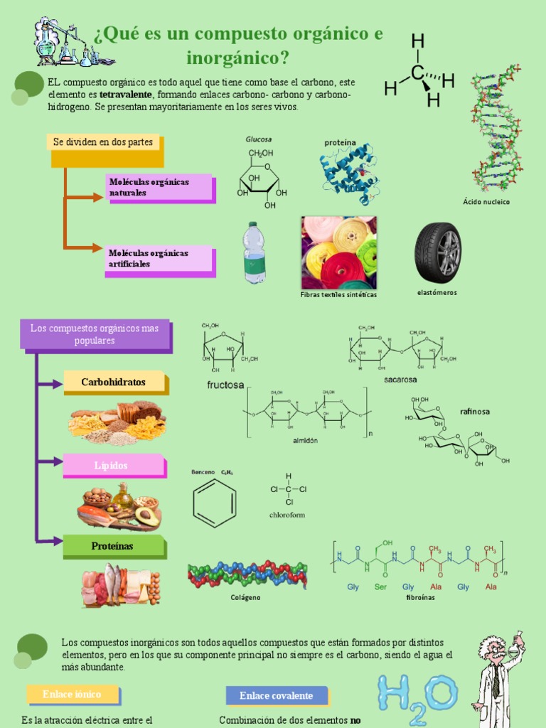 Compuesto Organico e Inorganico | PDF