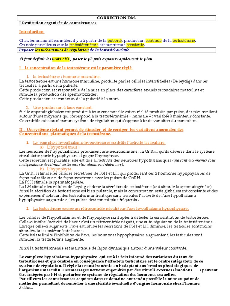 Correction DM | PDF | Hypothalamus | Progestérone