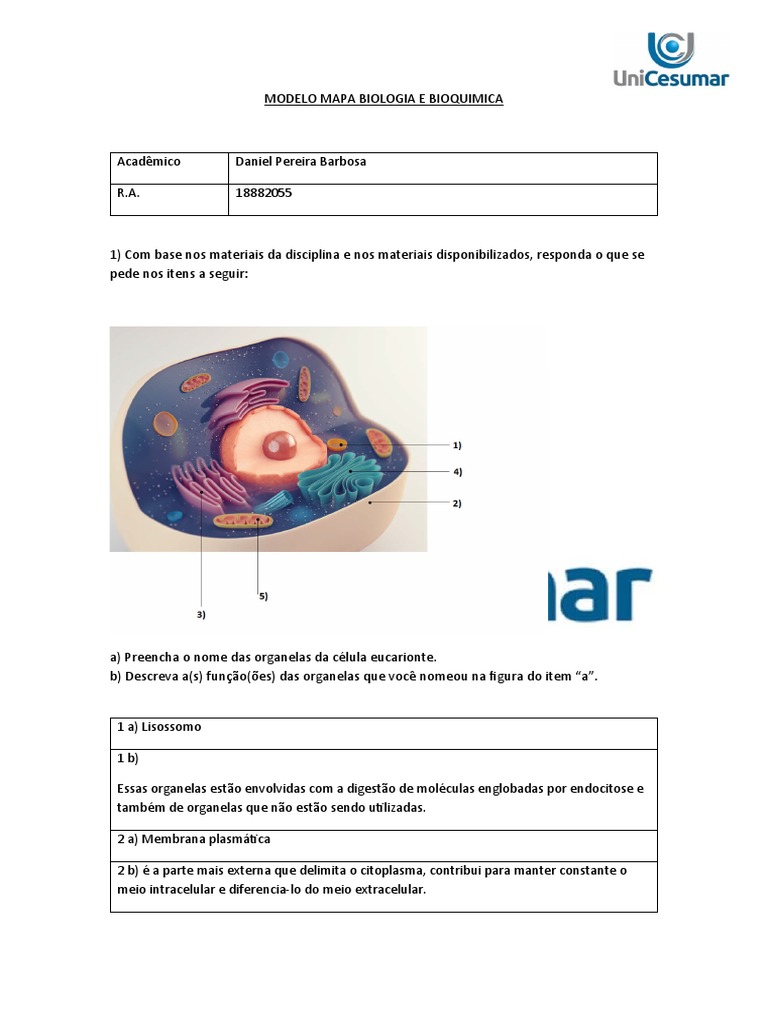 Mapa Biologia e Bioquimica Humana | PDF