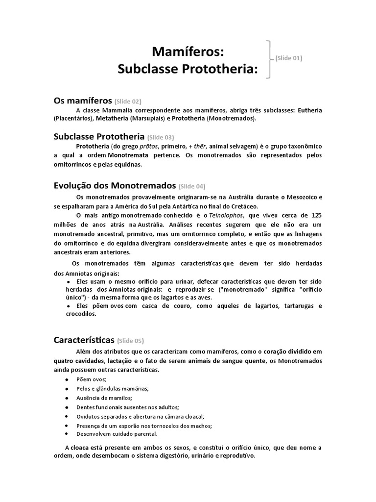 Monotremados: Prototheria em Foco | PDF | Mamíferos | Zoologia