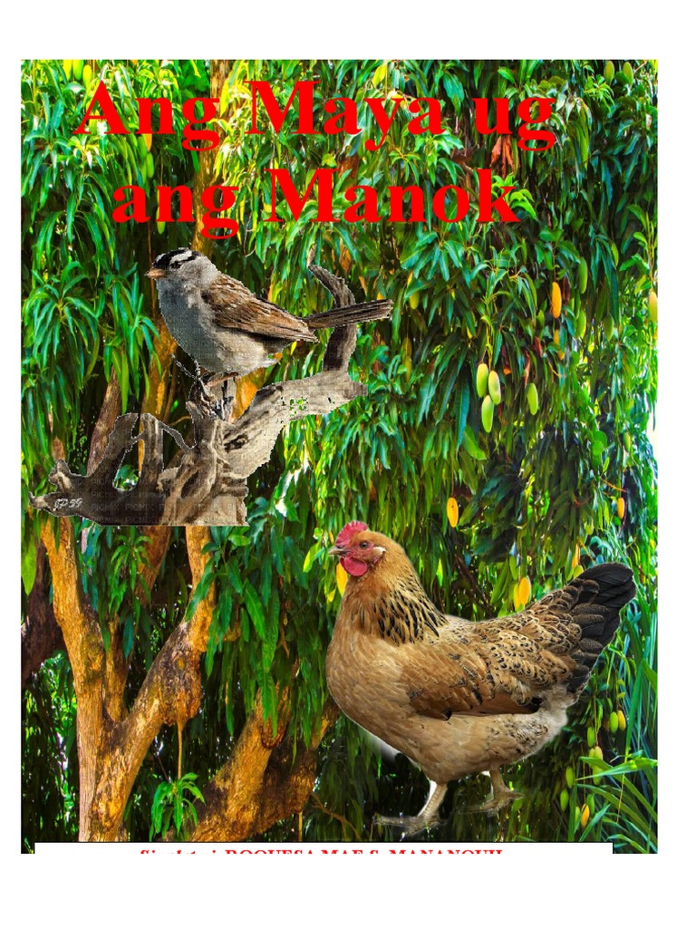 ANg Maya Og Ang Manok PDF | PDF