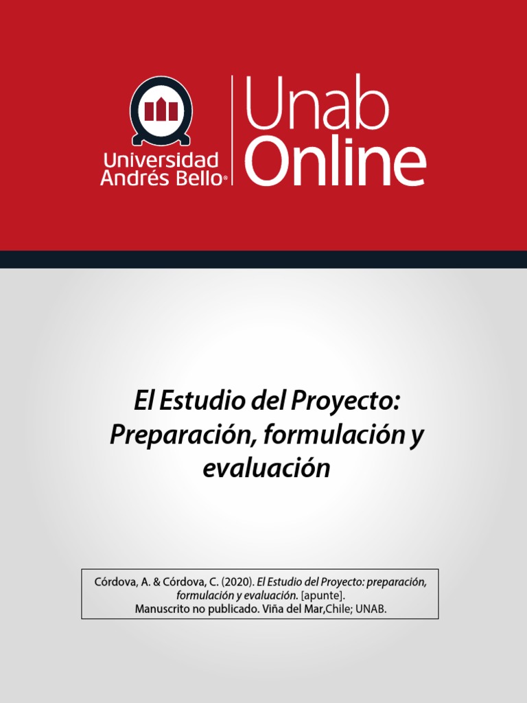 Formulacion de Proyecto 9 | PDF