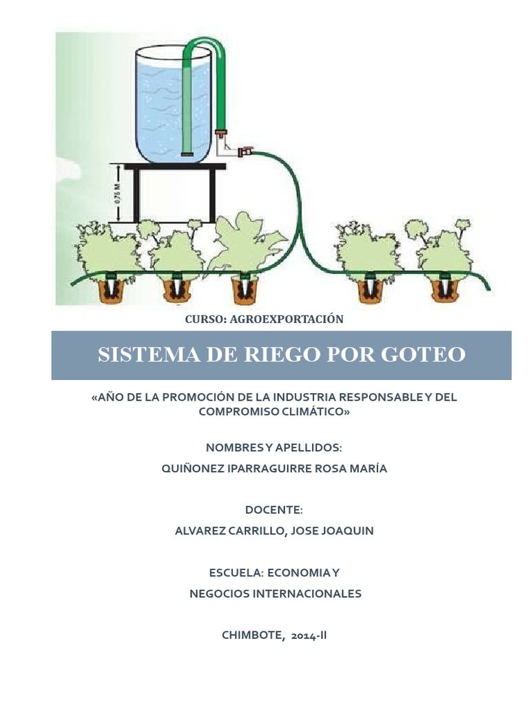 Sistema de Riego Por Goteo | PDF | Riego | Agua