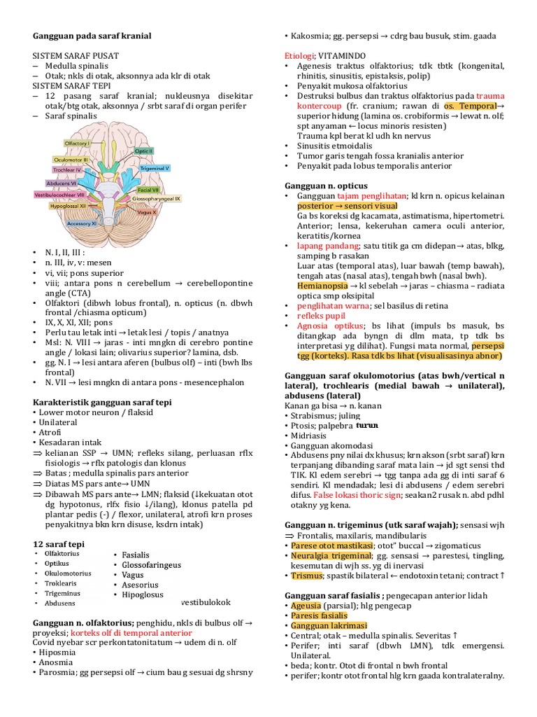 K10. Gangguan Pada Saraf Kranial | PDF