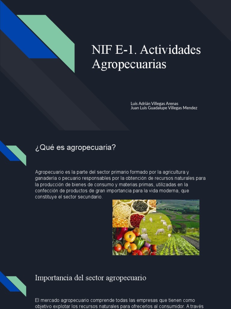 Nif E-1 | PDF