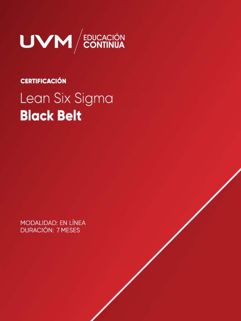 Diplomado Six Sigma Black Belt | PDF | Lean Manufacturing | Six Sigma