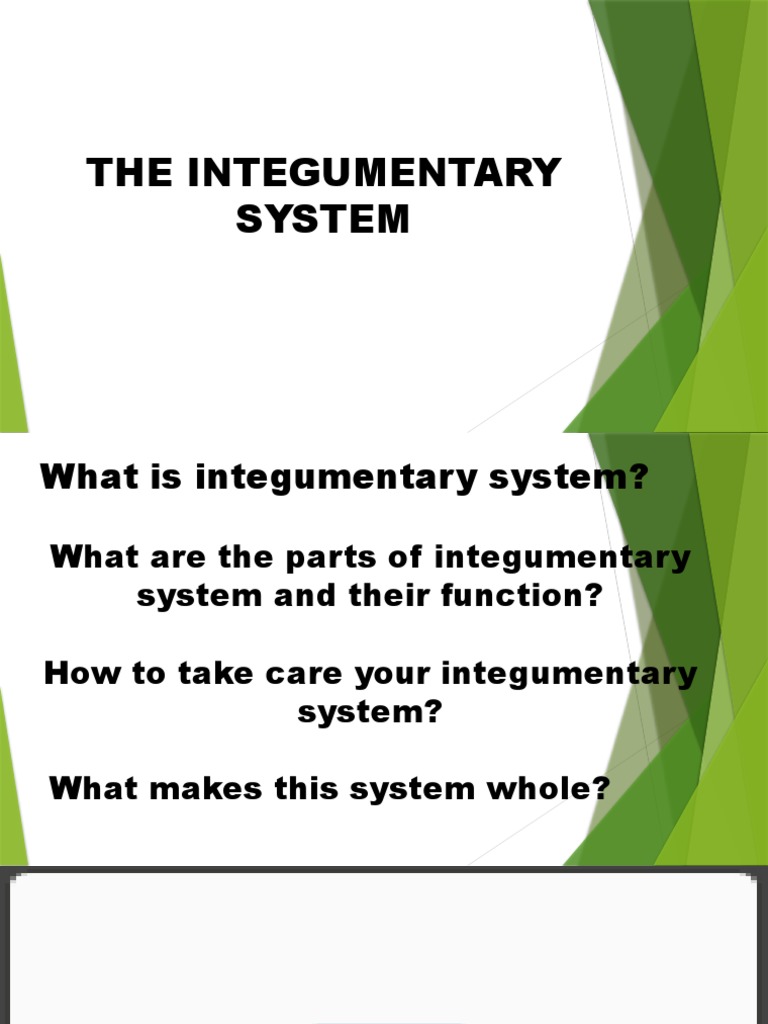Presentation Integumentary System Pdf Integumentary System Skin