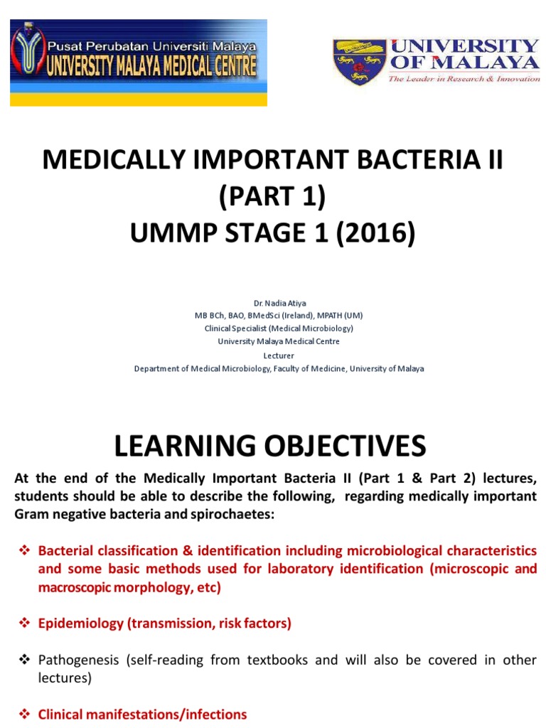 Classification of Medically Important Bacteria | PDF | Salmonella ...