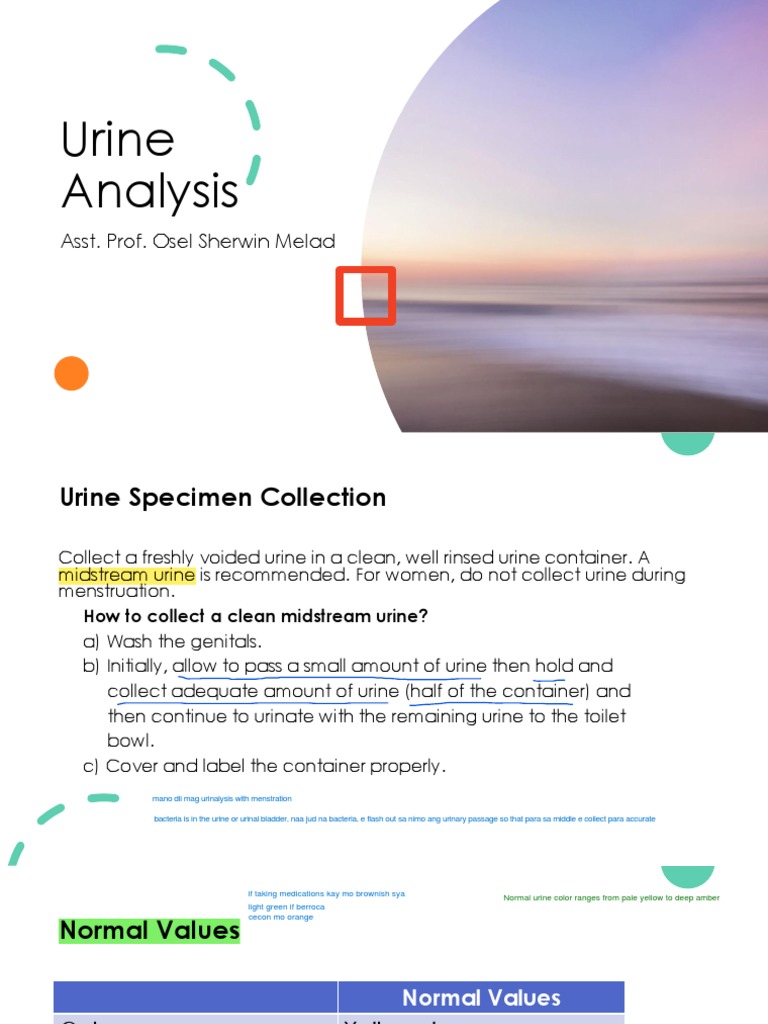 Urine Analysis: Normal Values, Significance of pH, Protein, Sugar | PDF ... Urine Analysis: Normal Values, Significance of pH, Protein, Sugar | PDF ...