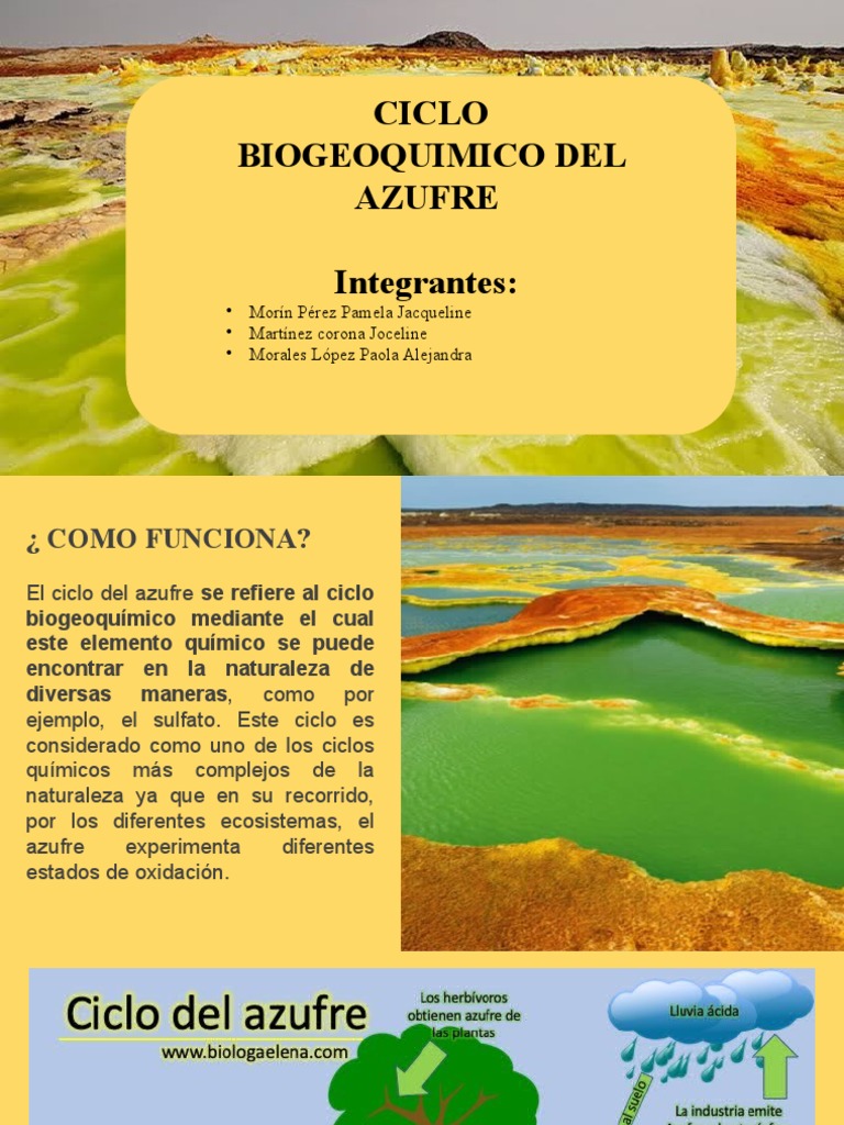 Presentación - Ciclo de Azufre | PDF