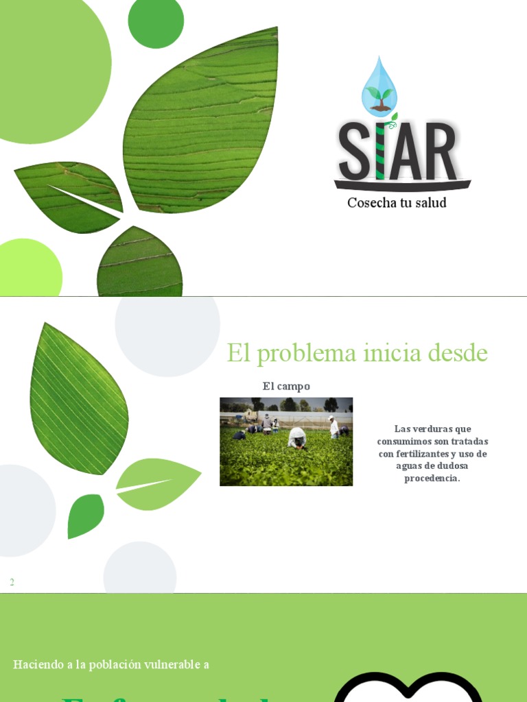 Presentacion SIAR | PDF | Riego | Agua