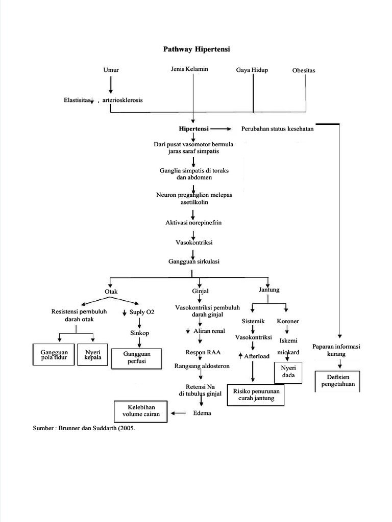PDF Pathway Hipertensi - Compress | PDF