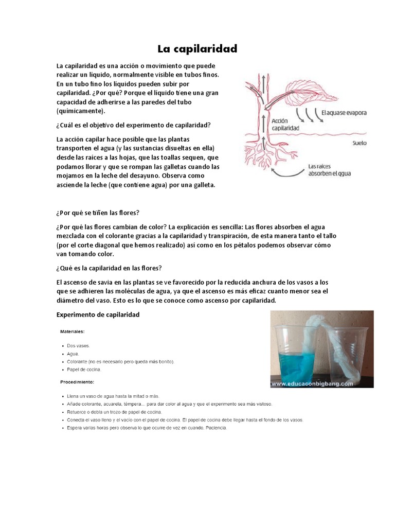 La Capilaridad | PDF
