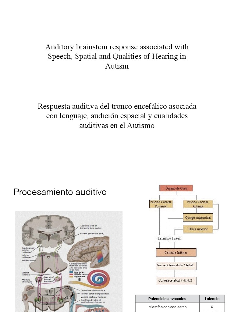Auditory Brainstem Response Associated With Speech, Spatial and ...