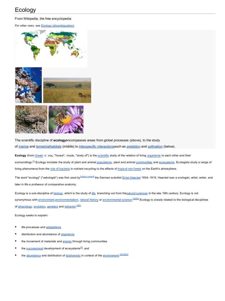 Ecology | PDF | Food Web | Ecology