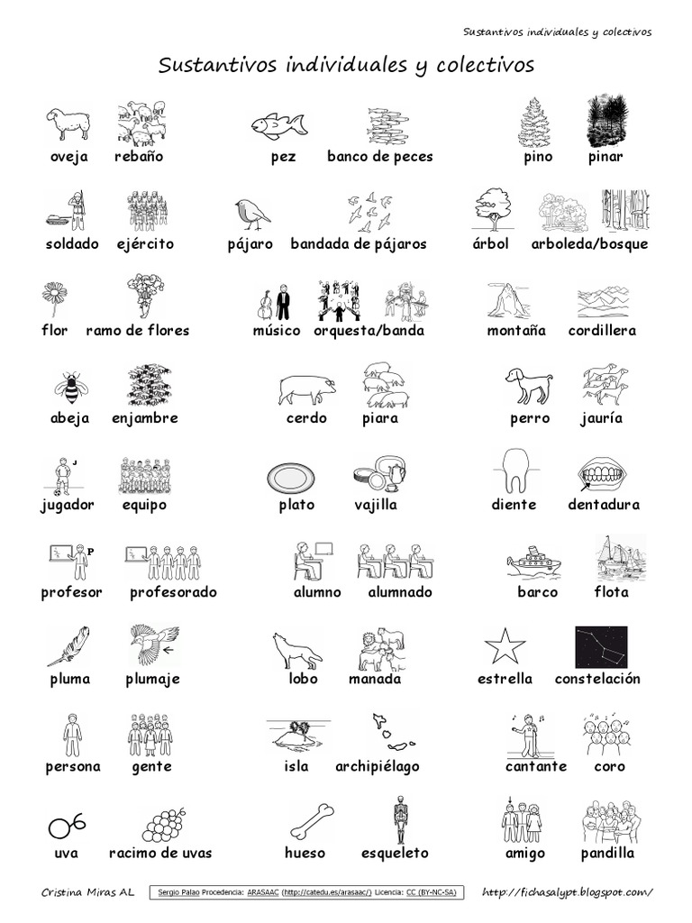 Sustantivos Individuales y Colectivos | PDF | Arte