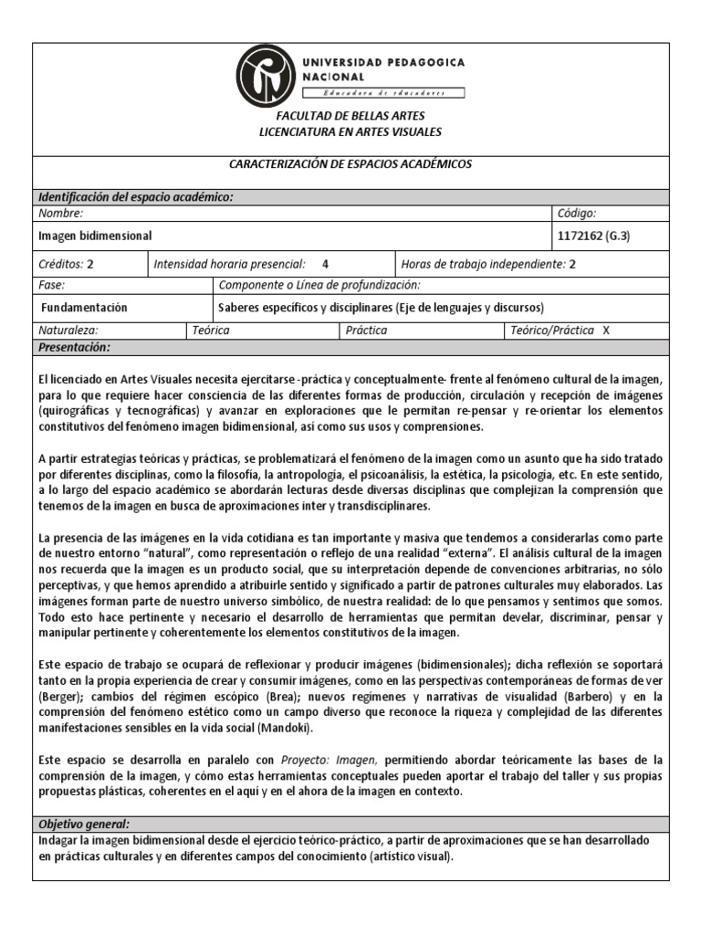 Imagen Bidimensional. 2022-2. Oscar G. Monroy | PDF | Imagen | Comprensión