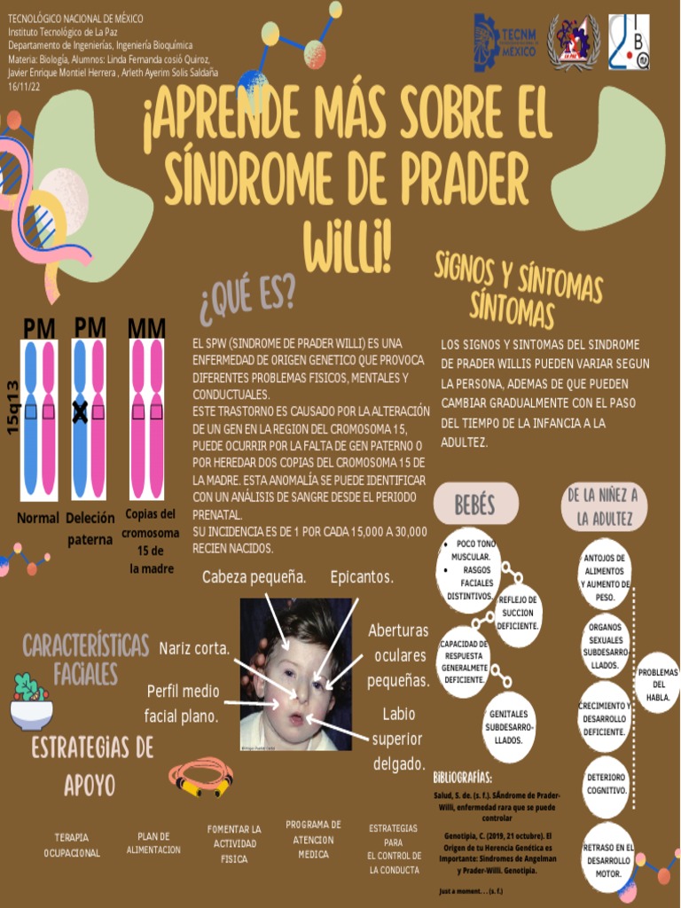 ¡Aprende Más Sobre El Síndrome de Prader Willi! | PDF | Medicina ...
