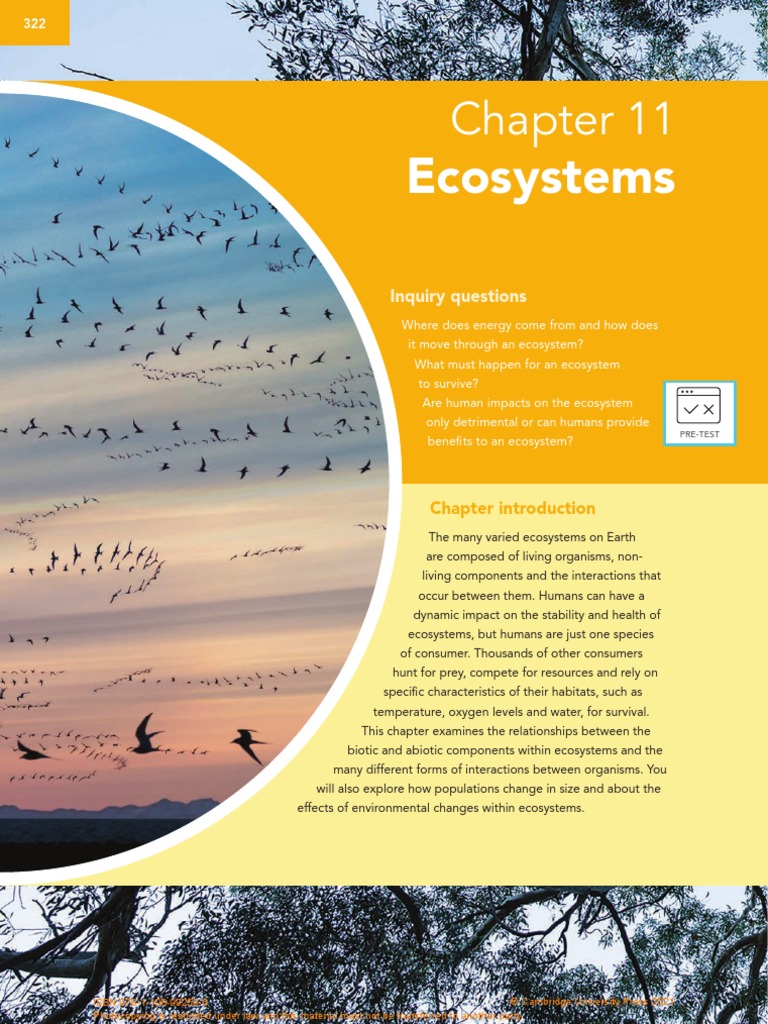 Chapter 11 - Ecosystems | PDF | Food Web | Ecosystem